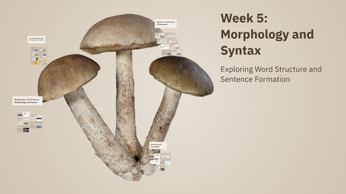 Week 5: Morphology and Syntax by Nestor Traballo on Prezi