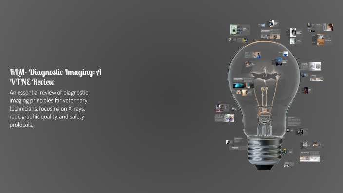 Vet 120 Diagnostic Imaging A Vtne Review By Kelsey Marriott On Prezi