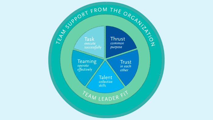 The T7 model by Angelica Spagoni on Prezi