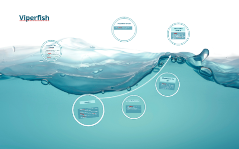 Viperfish by Taylor Phaneuf on Prezi