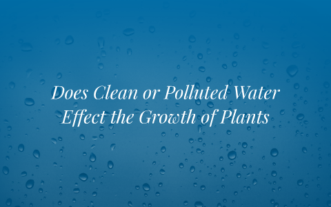 Clean vs Polluted Water by Adam McCaw on Prezi