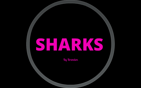 Sharks by Sycamore Creek on Prezi