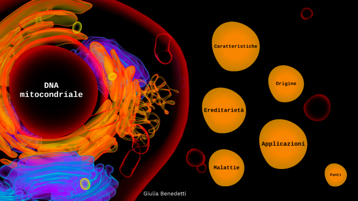 DNA mitocondriale by Giulia Benedetti on Prezi