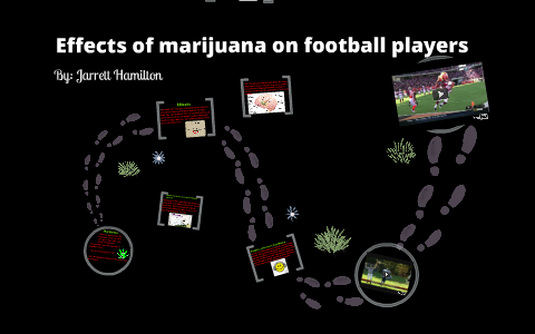 Effects of marijuana on football players by jarrett hamilton on Prezi