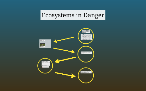 Ecosystems in Danger by hp 29 on Prezi