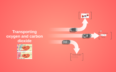 Transporting oxygen and carbon dioxide by on Prezi