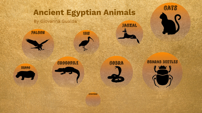 Animals in ancient egypt by Giovanna Gualda on Prezi