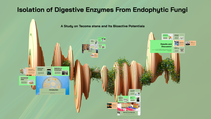 Isolation of Digestive Enzymes From Endophytic Fungi by DK BAsavaraj on ...