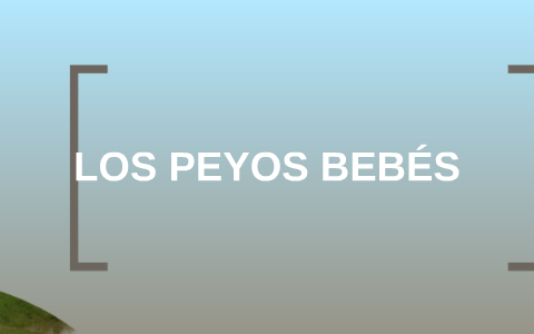 LOS PEYOS BEBÉS by Alvaro Solano Lizano on Prezi
