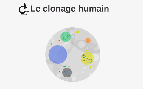 Le clonage humain by Scophax Basque.thibeault on Prezi