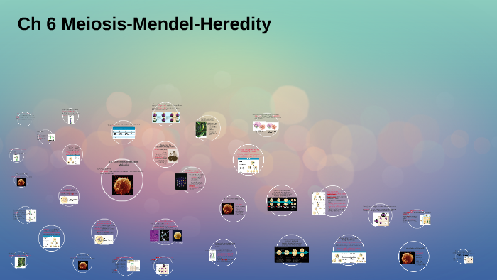 Ch 6 Meiosis-Mendel-Heredity by Gail Miller