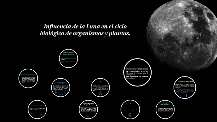 Influencia de la Luna en el ciclo biológico de organismos y by Giovani ...