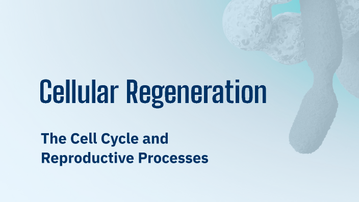 Cellular Regeneration by jacob shap on Prezi