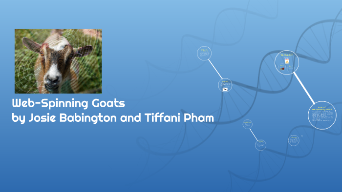 Web-Spinning Goats by Josie Babington on Prezi