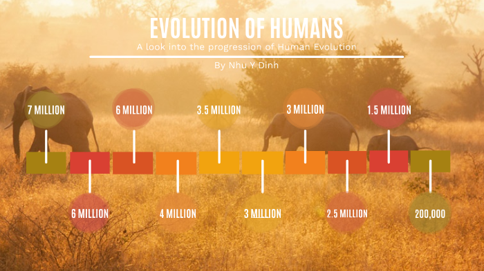 Biological Evolution of Humans by Nhu Y Dinh on Prezi