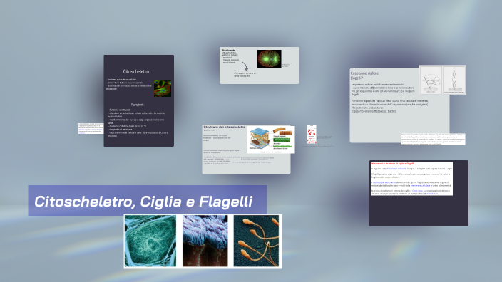 Citoscheletro, Flagelli e ciglia by Benedetta Franco on Prezi
