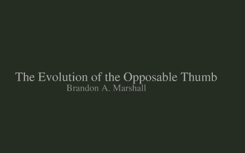 Evolution of the Opposable Thumb by Brandon Marshall on Prezi