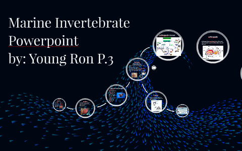 Marine Invertebrate Powerpoint by ronald young on Prezi
