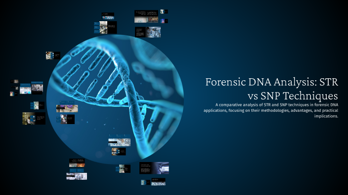 Forensic DNA Analysis: STR vs SNP Techniques by Criminal Evidence on Prezi