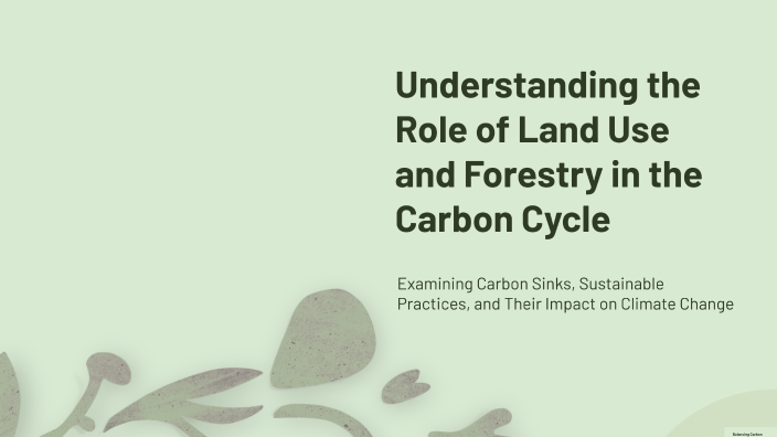 Understanding the Role of Land Use and Forestry in the Carbon Cycle by ...