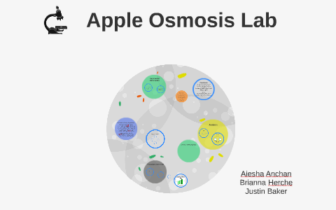 Apple Osmosis Lab by Aiesha Anchan on Prezi