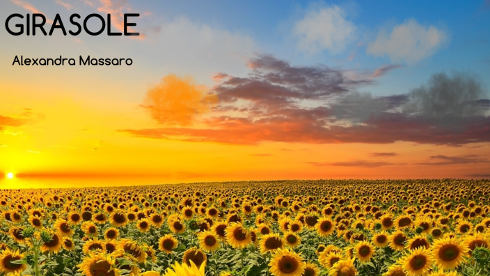 GIRASOLE by Alexandra Massaro on Prezi