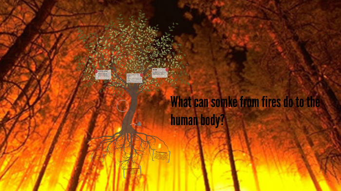 What can Fire do to the human body? by Taylor Esquibel on Prezi
