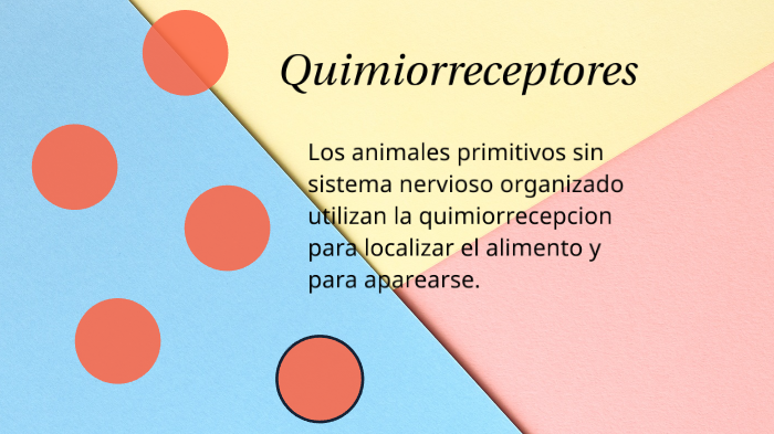quimiorreceptores by jazmin monllor on Prezi