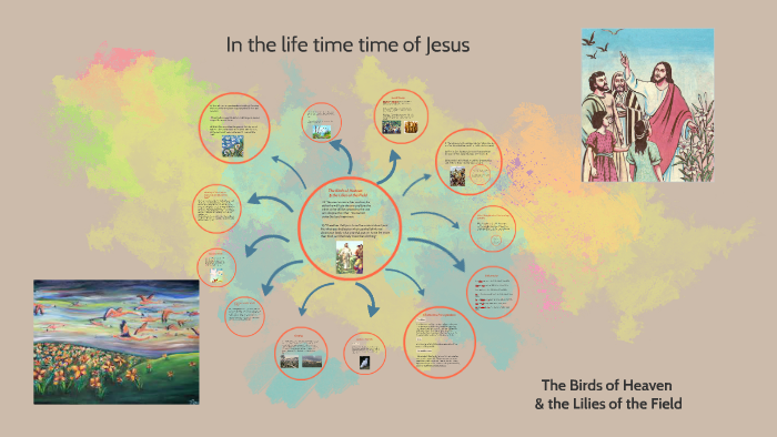 The parable of the birds of heaven by Stella Keogh on Prezi