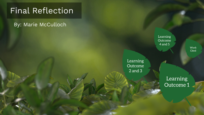 Final Reflection by Marie McCulloch on Prezi