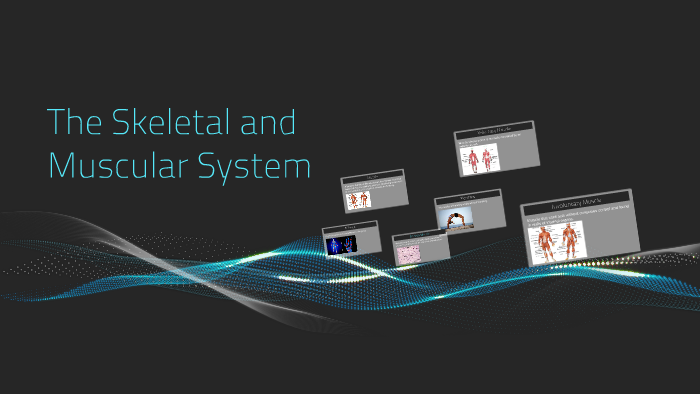 The Skeletal and Muscular System by Bethany Futrell on Prezi