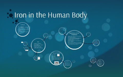 Iron in the Human Body by Maleeka Thaker on Prezi