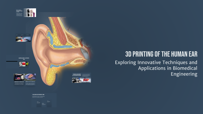 3D Printing of the Human Ear by Praxzk Jahh on Prezi