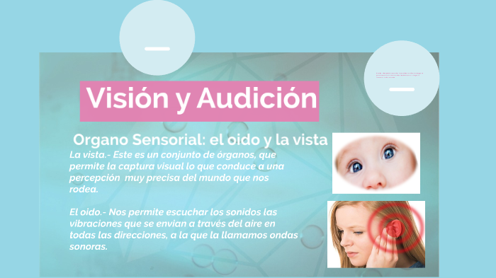 Visión y audición by Mafer Parrales on Prezi