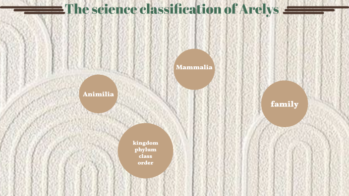 Arelys Rodriguez by Arelys Rodriguez on Prezi