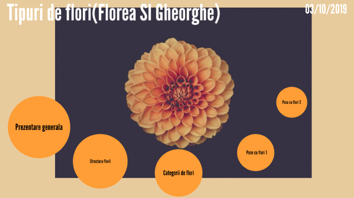Tipuri de flori by Antonia Florea on Prezi