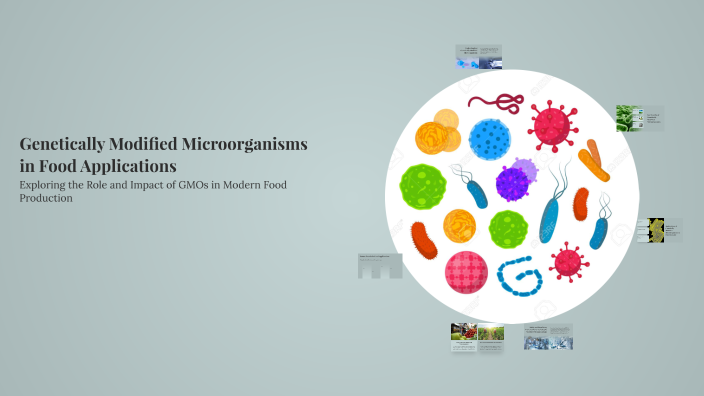 Genetically Modified Microorganisms in Food Applications by Nursena ...