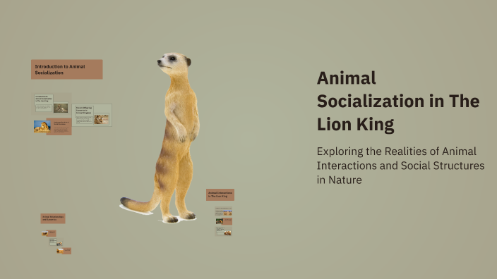 Animal Socialization in The Lion King by Giovanny Hernandez Barriga on ...