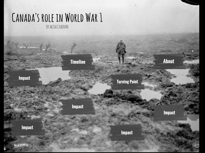 history ww1 presentation by Alisa Chauhan on Prezi