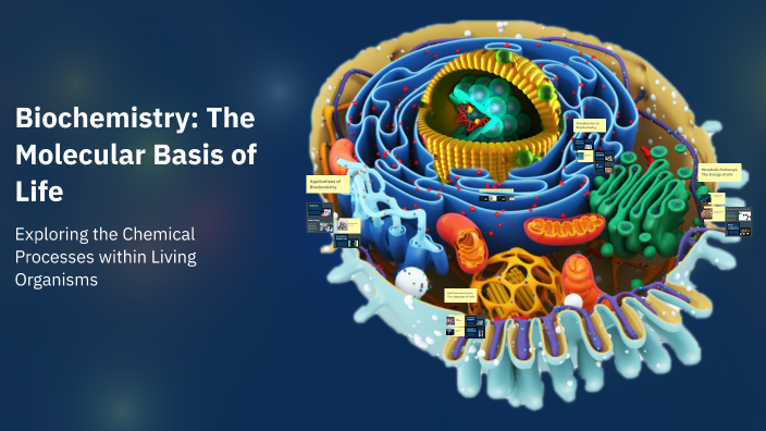 Biochemistry: The Molecular Basis of Life by hadjer bn on Prezi
