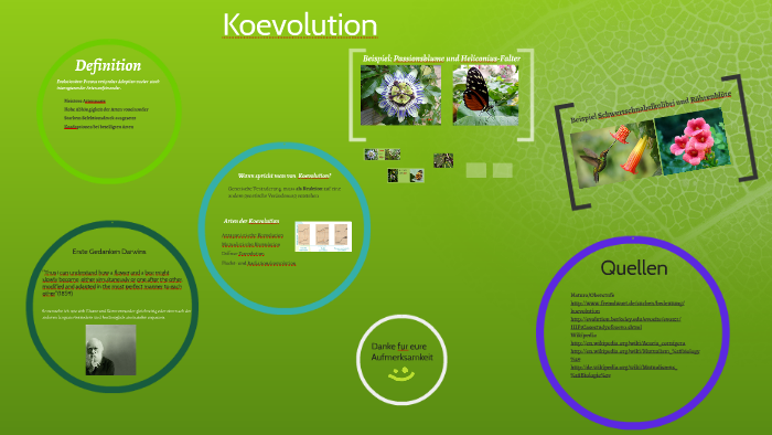 Koevolution by Paula Nixdorf