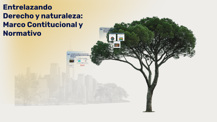 Marco Constitucional y Normativo by Alejandro Collaguazo on Prezi