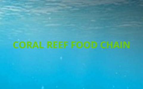 Coral Reef Food Chain by Sofinari Grange on Prezi
