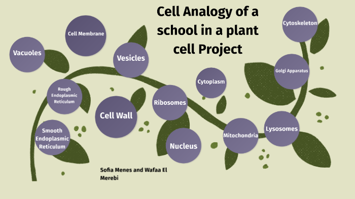 cell analogy project by Sofia menes on Prezi