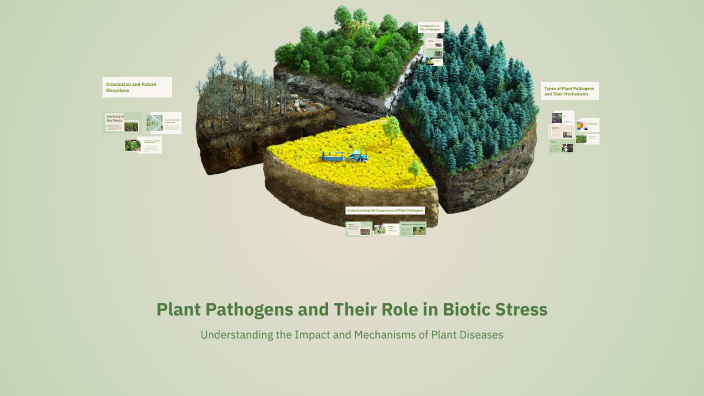 Plant Pathogens and Their Role in Biotic Stress by Hazel Flora on Prezi