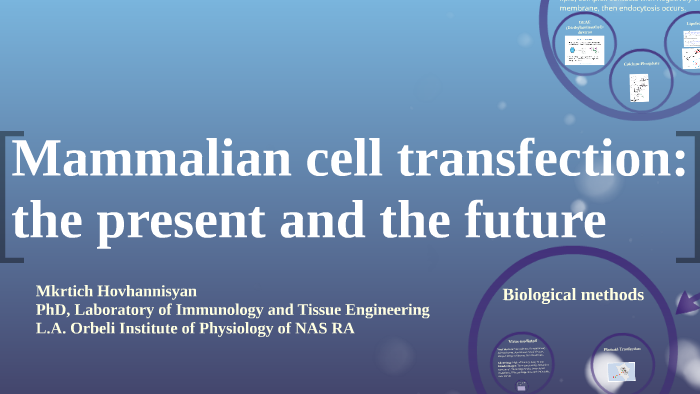Mammalian cell transfection: the present and the future by Mkrtich ...