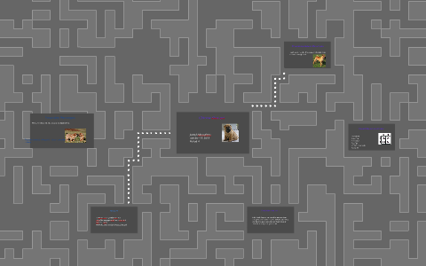 Chinese Shar-pei by Joseph Magdaleno