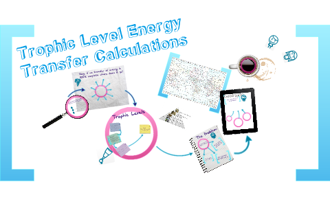 Trophic Level Energy Transfer Calculations by Kara Bates on Prezi