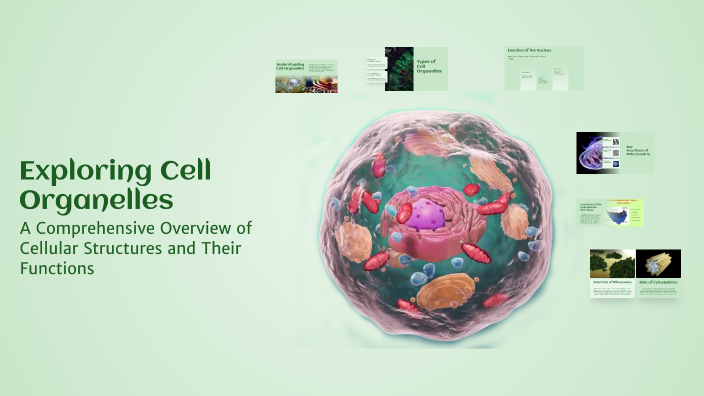 Exploring Cell Organelles by Shade Abdullah on Prezi