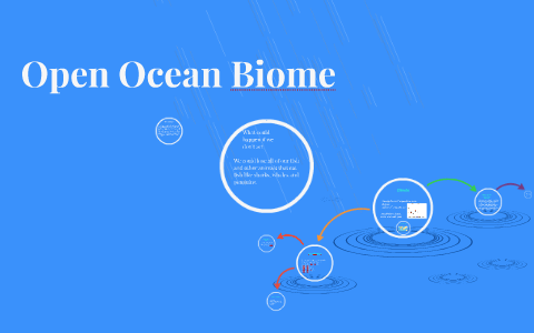 Open Ocean Biome by David Gangemi on Prezi